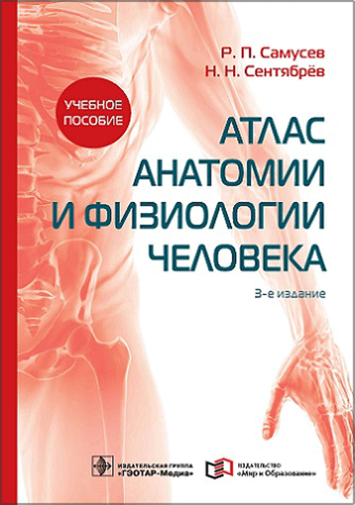 Атлас анатомии и физиологии человека : учебное пособие / Р. П. Самусев ...
